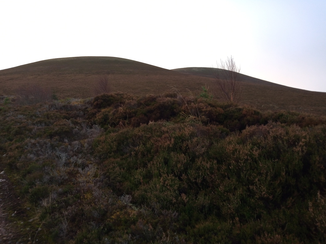 Acharn 25 – Hugh's Web Pages (ferrier.net)